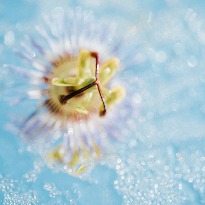 Noods Radio | inklingroom w/ Wash Electra & Dan