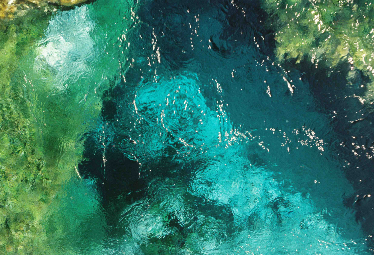 Noods Radio | Dead Tongues from Outter Space: All About Blue | 30.04.24