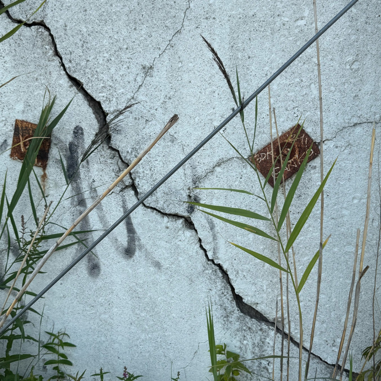 Noods Radio | Life as Collage w/ yusk invites Infant | 28.09.25