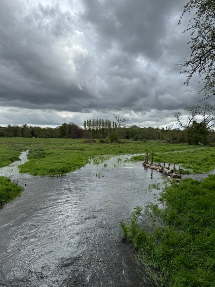 Noods Radio | Dream Sequence w/ Tom | 26.04.26